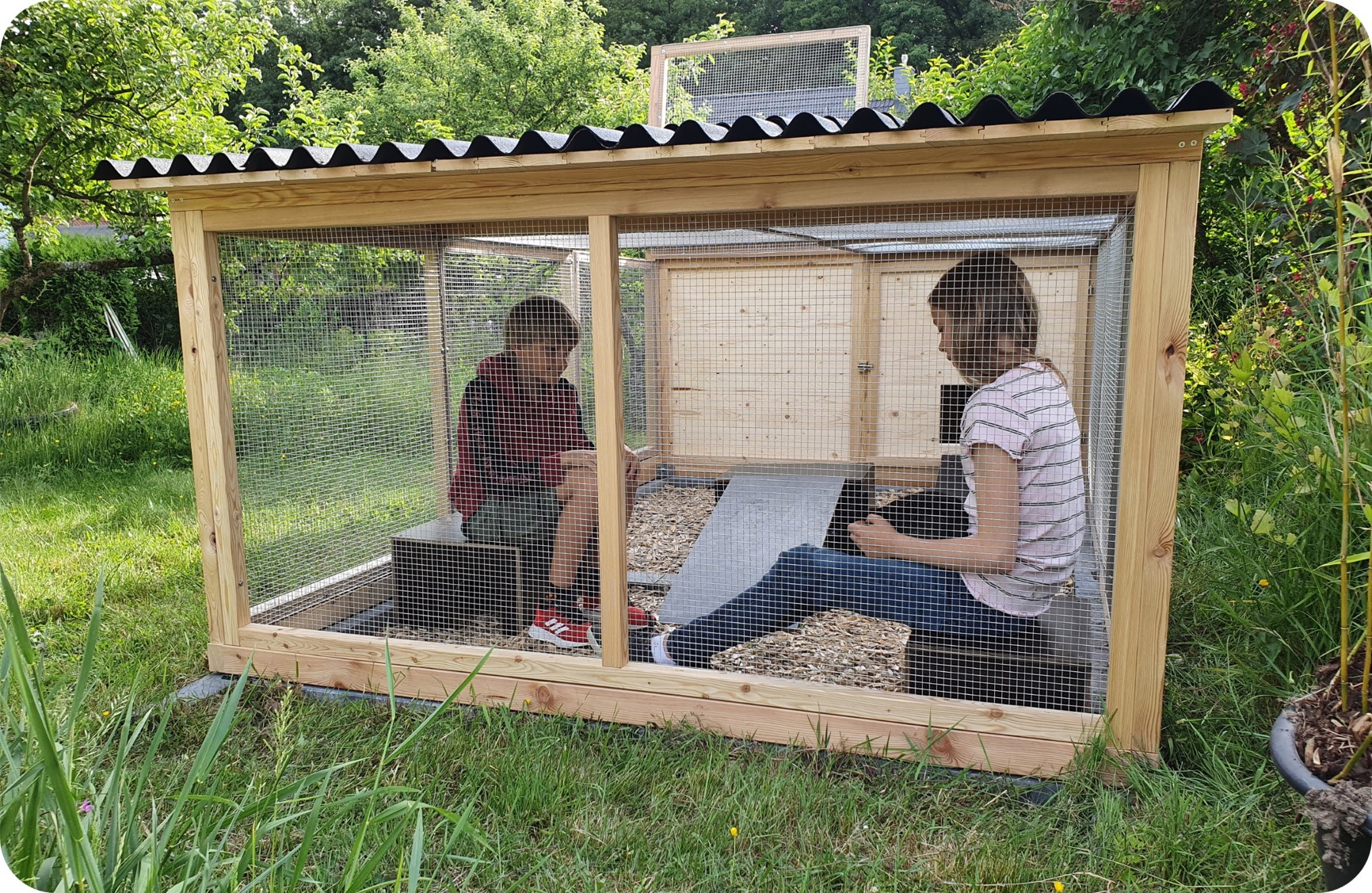 1m Gehege | Keeping Life